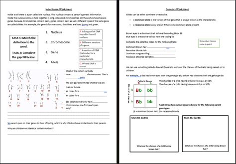 Genetics Ks3 Activate Science Teaching Resources