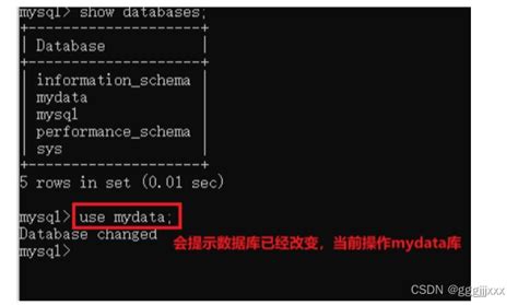 Mysql数据库新手基础学习（一） Csdn博客