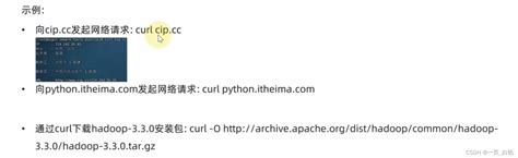 Linux基本命令 进入home目录的命令 Csdn博客