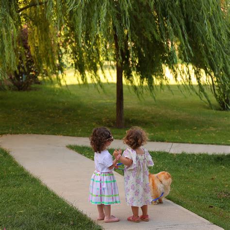 მწვანე ქალაქი მწვანე ქალაქი ლისზე Lisi Green Town