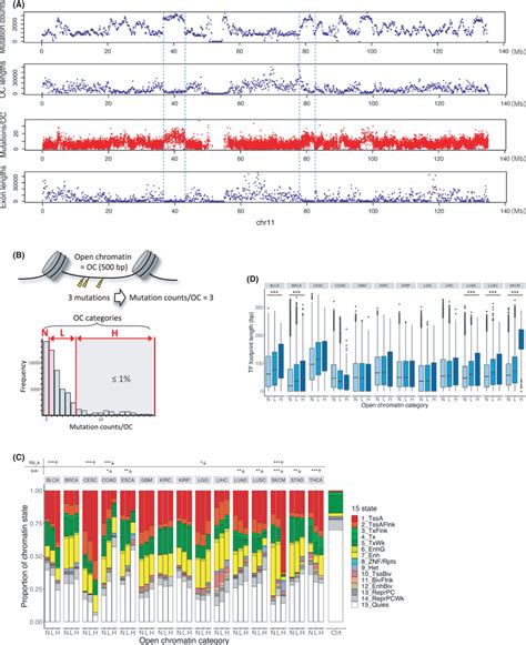 Mutation Distribution And Characteristics Of Open Chromatin Regions