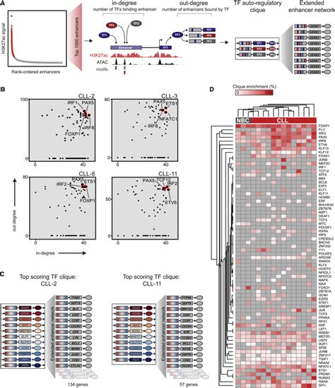 Enhancer Architecture And Essential Core Regulatory Circuitry Of Chronic Lymphocytic Leukemia