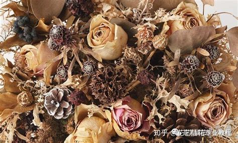 哪些植物适合制作成干花有哪些制作干花的办法 知乎