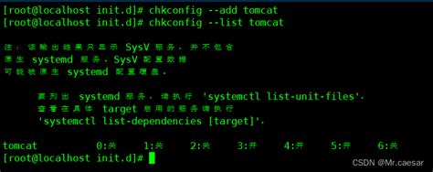 国产服务器tomcat开机自启麒麟系统设置tomcat开机自启动 Csdn博客