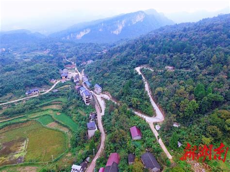 走向胜利·决战决胜乡村述说丨大山深处的幸福歌 今日要闻 湖南日报网 华声在线