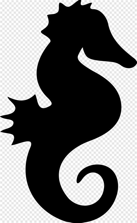 Dessin De Silhouette Dhippocampe Nautique Animaux Monochrome Png Pngegg