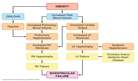 Cardiac Systemic And Pulm Htn And Pericardial Disease Exam 3 Flashcards Quizlet