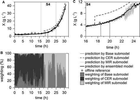 Application Of The Ensemble‐based Model For A Simulated Multiple Fault Download Scientific