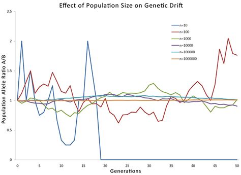 Genetic Drift Assignment Free Sample