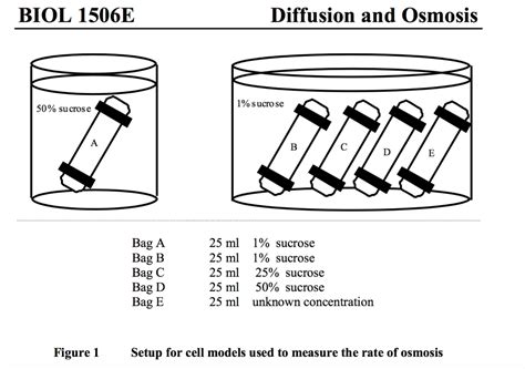 Dialysis Tubing Diffusion Osmosis Lab