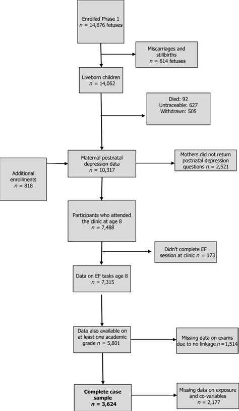 Flow Chart Indicating Sample Size And Sources Of Missing Data