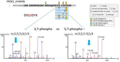 Peaks Ptm Ptm Identification Ptm Profiling Bioinformatics