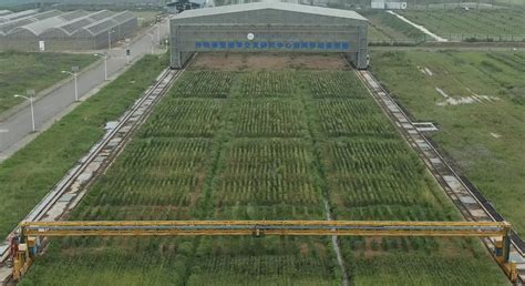 Phenonet Platform A Comprehensive Solution For Wheat Phenology Research