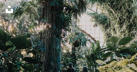 키가 크고 푸른 나무로 둘러싸인 오솔길에 서 있는 두 여자 사진 Unsplash의 무료 링컨 파크 온실 이미지