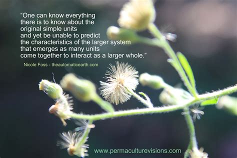 Systems Thinking Permaculture Visions