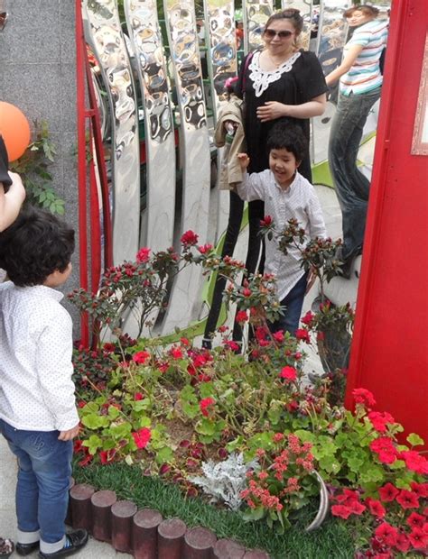 딱풀녀swf ♣동영상 2 네이버 블로그