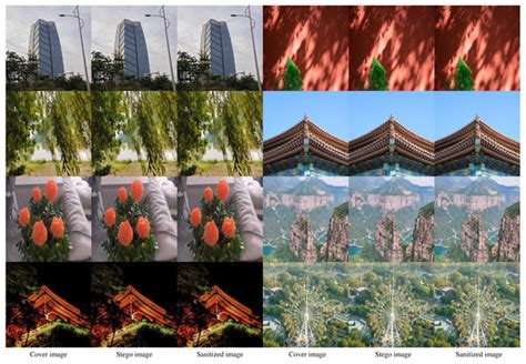 Sterilization Of Image Steganography Using Self Supervised Convolutional Neural Network Bohrium