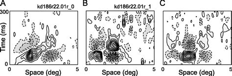 The Derivation Of Direction Selectivity In The Striate Cortex Journal
