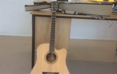 Halvakustisk Gitarr Parkwood Med Etui Aktuelltstulet