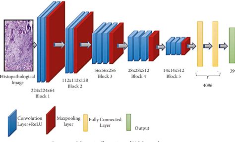 Figure 3 From Diagnosis Of Oral Squamous Cell Carcinoma Using Deep Neural Networks And Binary