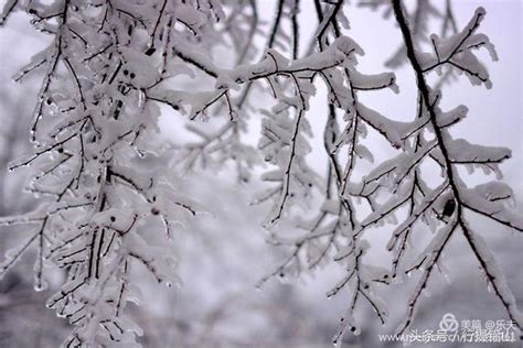雪已下過鉛山仙山嶺猶如冰雪童話 每日頭條