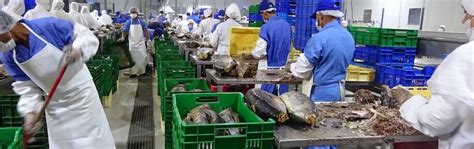 Processing Plants Pertes Et Gaspillages De Nourriture Dans Les