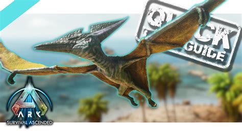 How To Tame A Pteranodon Ark Ascended Asa Quick Taming Guide Youtube