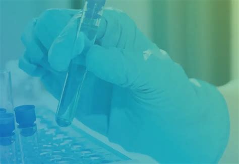 Dna Encoded Library Del Screening Services Cro Company