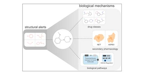 Large Scale Predictive Drug Safety From Structural Alerts To