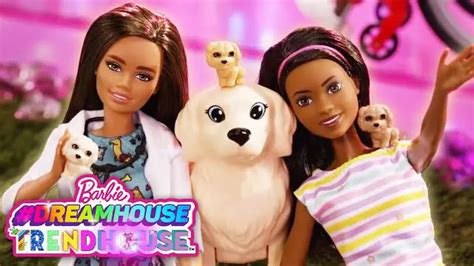 کارتون باربی با داستان توله سگ اورژانسی