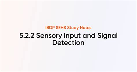 Sensory Input And Signal Detection 522 Ib Dp Sports Exercise And
