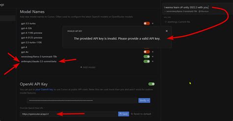 If I Add Openrouter It Says The Provided Api Key Is Invalid
