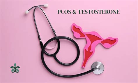 Pcos And Androgen Excess Gynecology Integrative Medicine