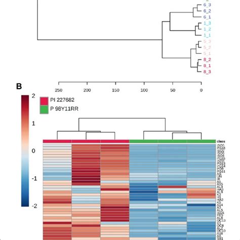 A Dendrogram Showing The Formation Of Groups According To Similarity