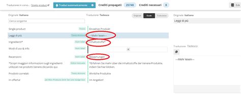 Translated Text Is Not Shown In The Front End Wpml