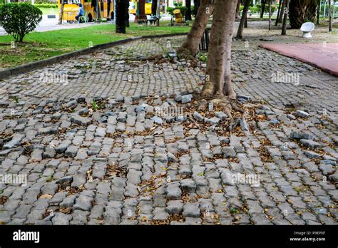 Tree Damage Pavement Hi Res Stock Photography And Images Alamy