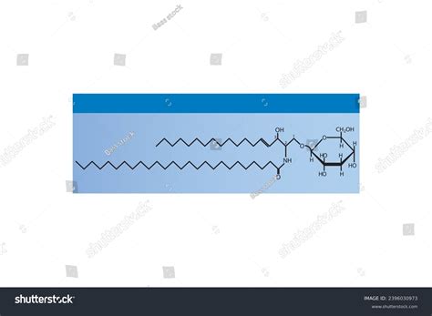 Diagram Showing Schematic Molecular Structure Neutral Stock Vector Royalty Free 2396030973