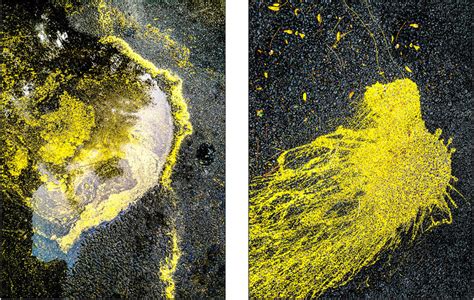 Susan Bowen Diptych 7 2023 Available For Sale Artsy