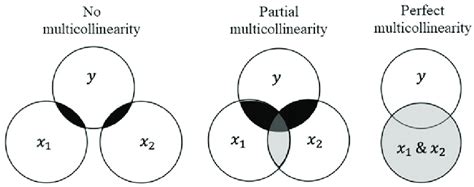2 Examples Of Multicollinearity Source Own Representation Based On Download Scientific