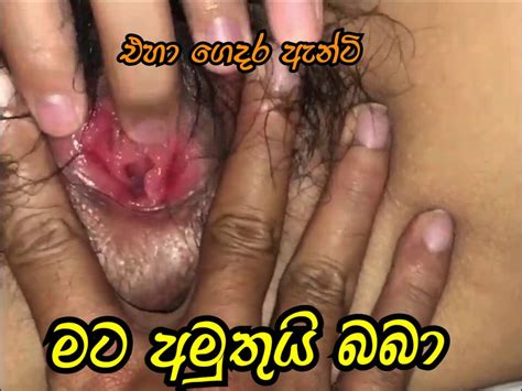 Sinhala Porn Videos XHamster Sinhala Porn Videos XHamster