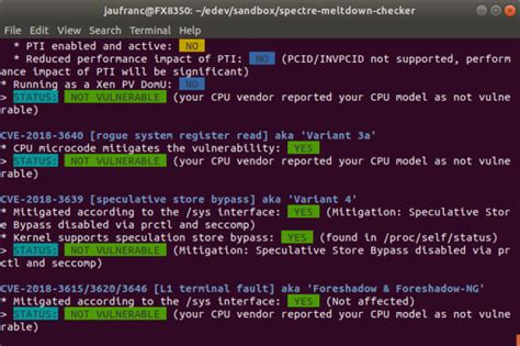 Check For Spectre Meltdown And L1 Terminal Fault Vulnerabilities With
