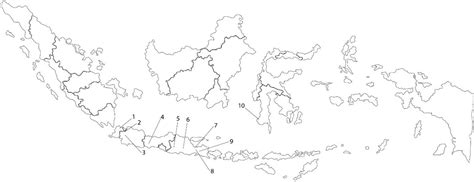 Chemical Profiling Bioactive Compounds Antioxidant And Anti Inflammatory Activities Of