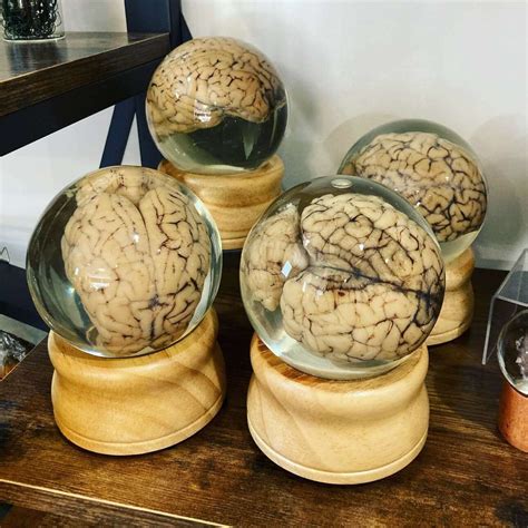 Meet Britney Jones CanvasRebel Magazine