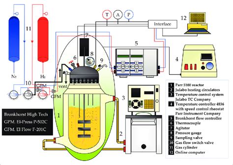Schematic Representation Of The Experimental Setup—laboratory Reactor