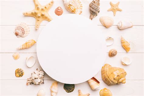 컬러 배경에 빈 인사말 카드와 빈 백서가있는 여름 시간 개념 텍스트 상단보기를위한 공간으로 분리 된 프레임 모양의 바다 해안에서 조개 껍질 개념에 대한 스톡 사진 및 기타