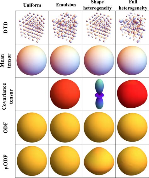 Figure 7 From A New Framework For Mr Diﬀusion Tensor Distribution