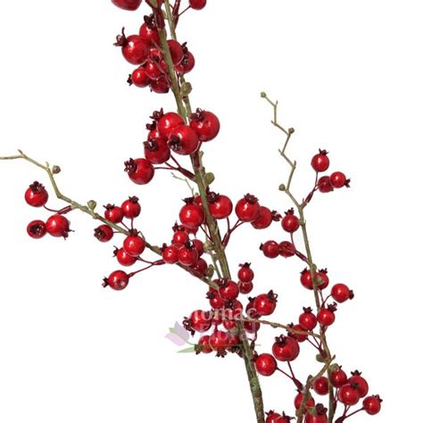 Water Resistent 46 Berry Spray Red Potomac Floral Wholesale
