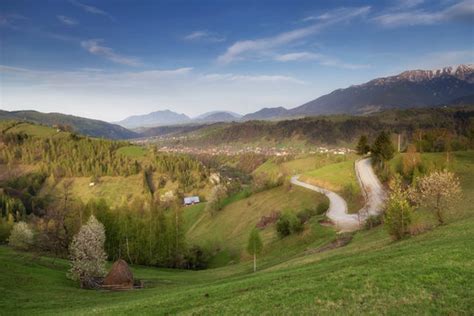 Moeciu Bilder Durchsuchen 656 Archivfotos Vektorgrafiken Und Videos