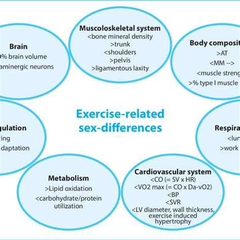 Exercise Related Sex Differences In Females Compared To Males Download Scientific Diagram