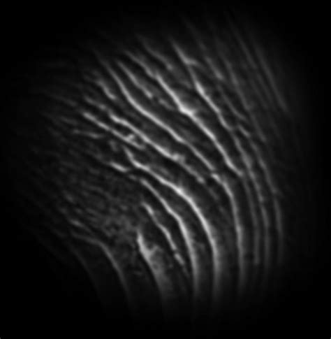 사람 피부 범프 맵 Zbrush Alpha Library And Bump Map 피부 모델링 브러쉬